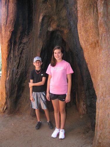 2011: Sequoia National park in Cali!!