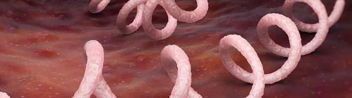 ("Syphilis symptoms & treatment", 2021)