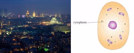 City Space Cytoplasm