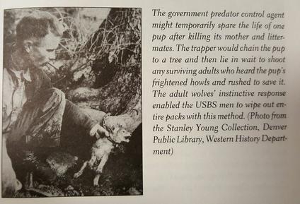 (McIntyre 1995, 143)