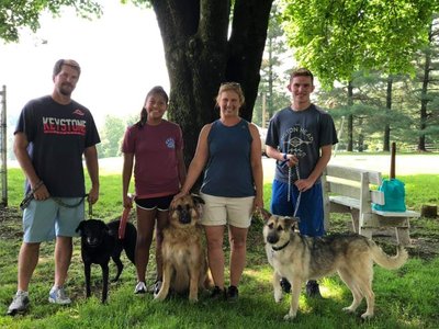 A Little About You...