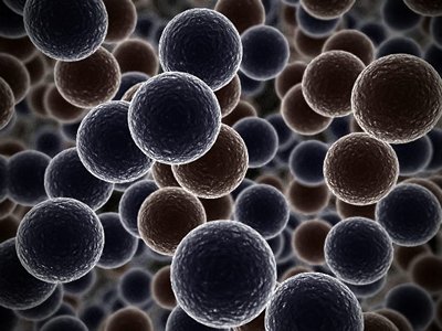 This model shows atoms that have different properties, such as ...