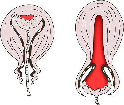 Alumbramiento - Issuu