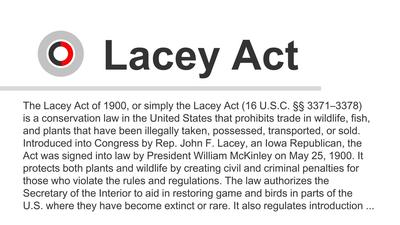 Lacey Act