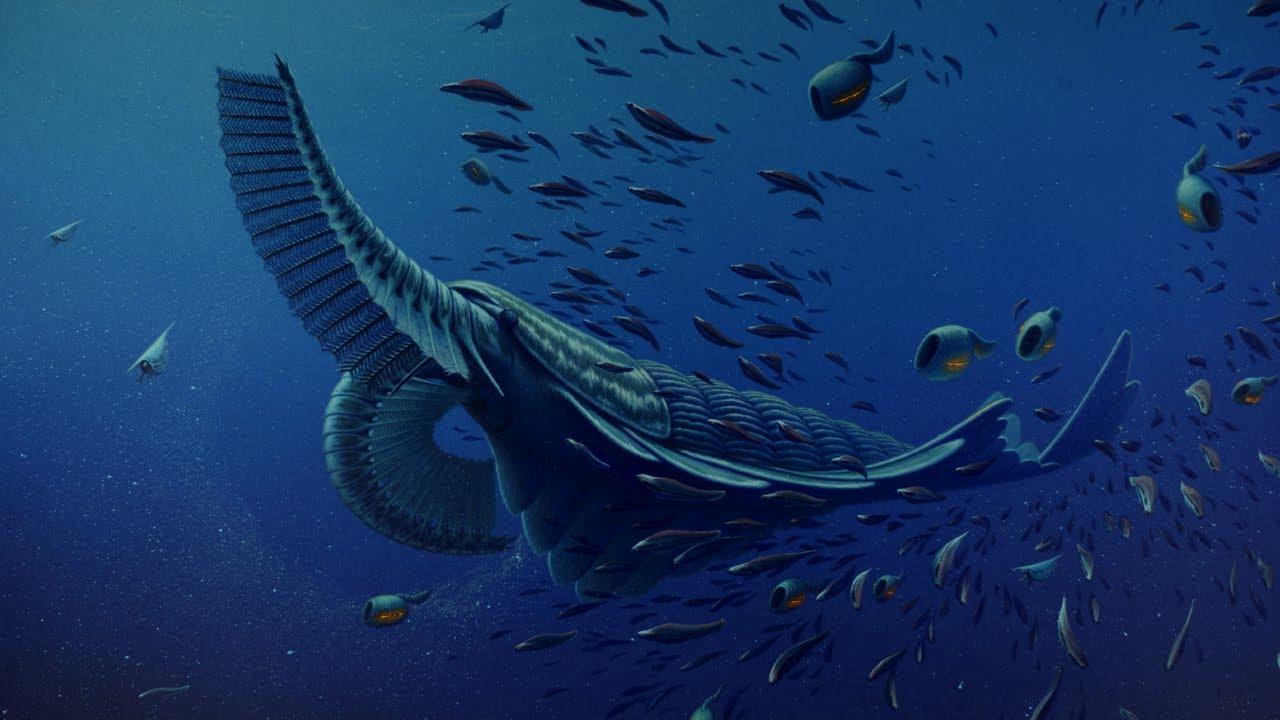 The Cambrian Period was the first period of the Paleozoic Era. It was ...