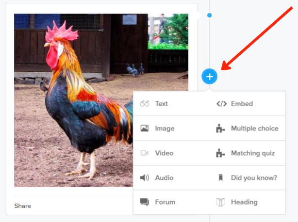Adding items on Sutori