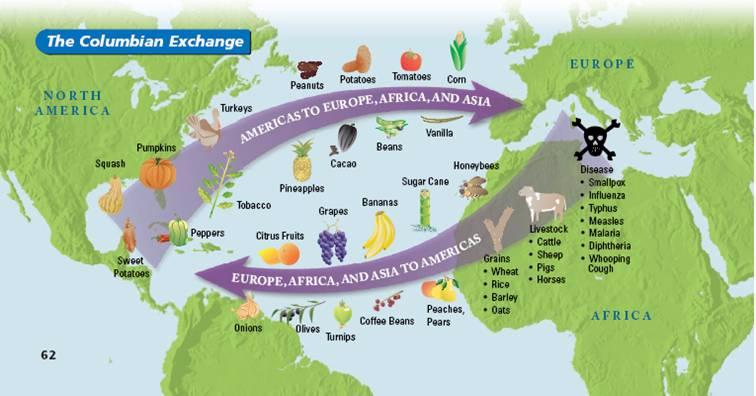 Picture of the Columbian exchange and what was exchanged