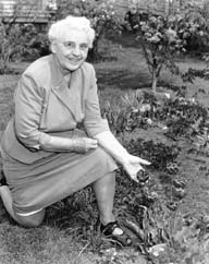 All images are provided for personal and educational use. Users ...