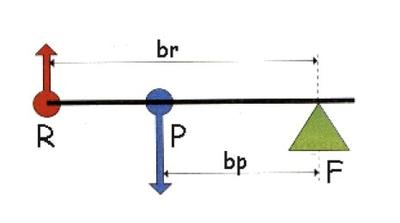 Una leva di terzo genere (o di terzo tipo),è una leva dove il fulcro ...