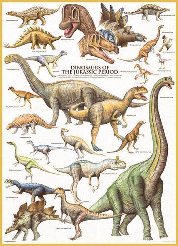 Phanerozoic Eon, mesozoic Era and jurassic period 199 years ago the ...