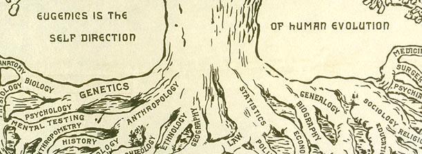 The 'Eugenics Tree' used as a logo by the Eugenics Record Office. The ...