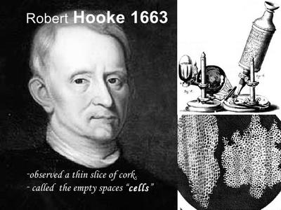 A Brief History of Microbiology