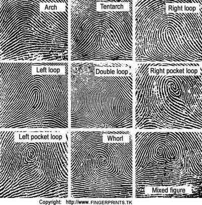 1st Systematic Fingerprint Use (1902)