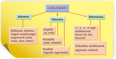 TK. 42./1.
