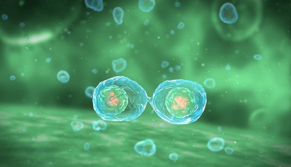 1885: Remak proves cell division