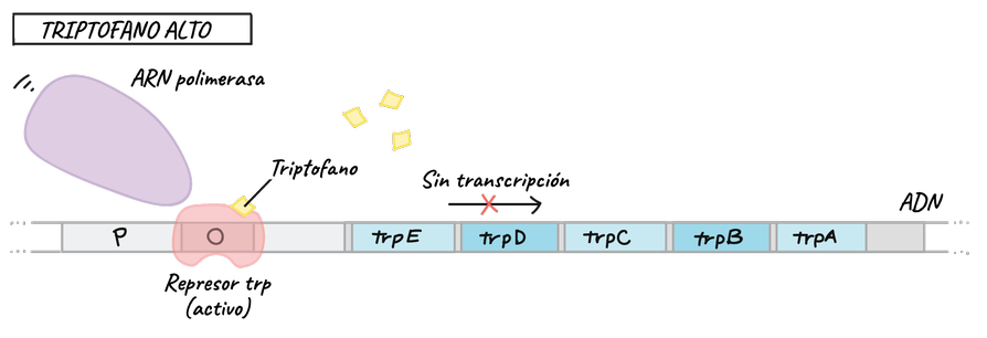 (Khan Academy, 2007) (Khan Academy, 2007)