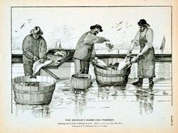 Rhode Island helped the rest of the colonies by selling fish.