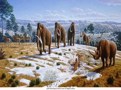Miocene Period