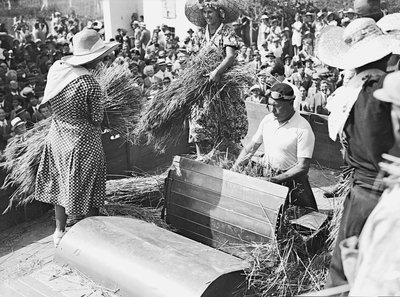 Battle for Grain [1925]