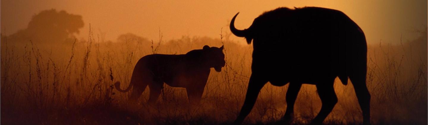 To print the story please do so via the link in the story toolbar.