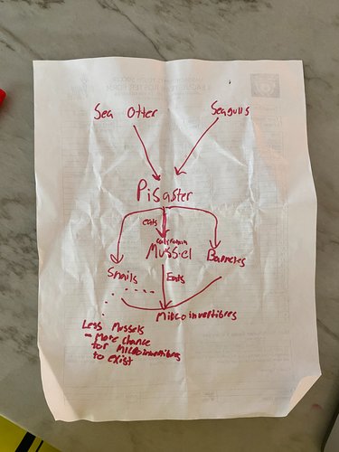 Research the Pisaster sea star. Draw your OWN food web that includes ...
