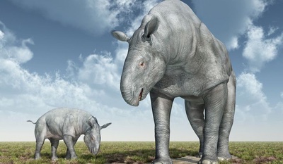 Believed appearance of the Megafauna species