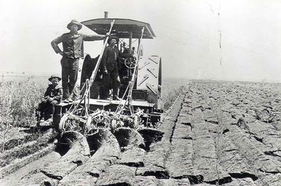 Drought devastates the Prairies - 1929-1932