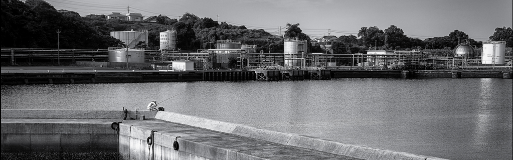 Photo by: Mick Stetson