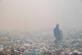 imagen encontrada en google