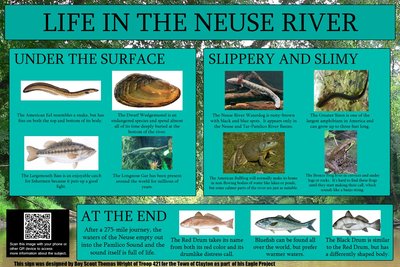 A Poster showing aquatic creatures that live in the Neuse River (Town ...