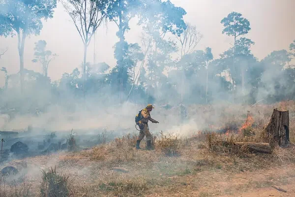 Future Threats and Conservation Strategies