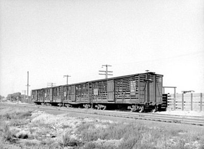 Many Cattle Cars had no windows causing for little to no air.