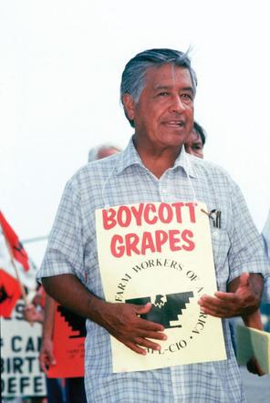 Cesar Chavez in a Grapes Boycott