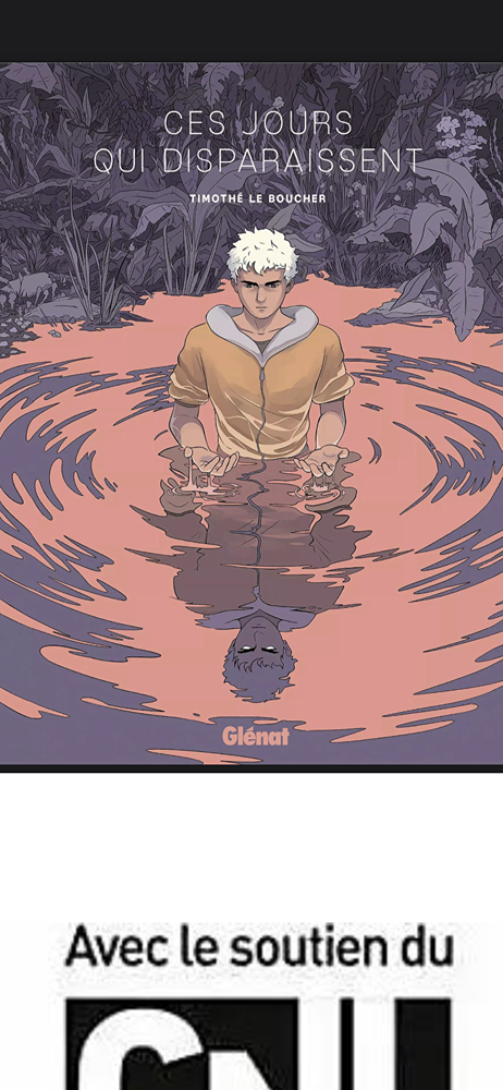 Commente la couverture et donne ton opinion, aurais-tu choisi la même ...