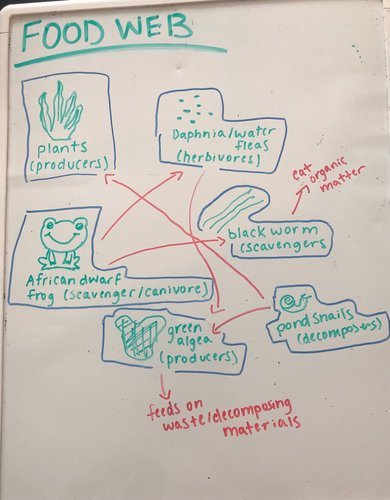 My planned Ecosystem