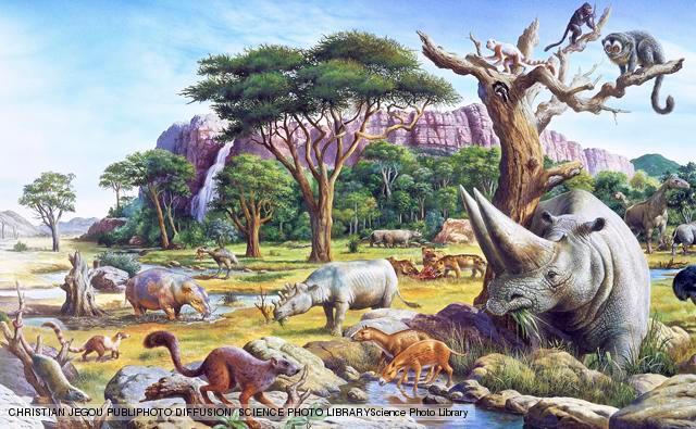 Cenozoic Era - ¨The Age of Mammals¨