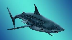 This shark had razor shark teeth which he crowned the phrase sliced and ...