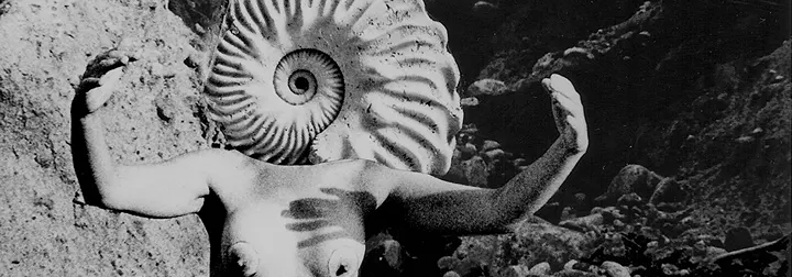 Marybeth Edelson, Goddess Head/Soft (2007)