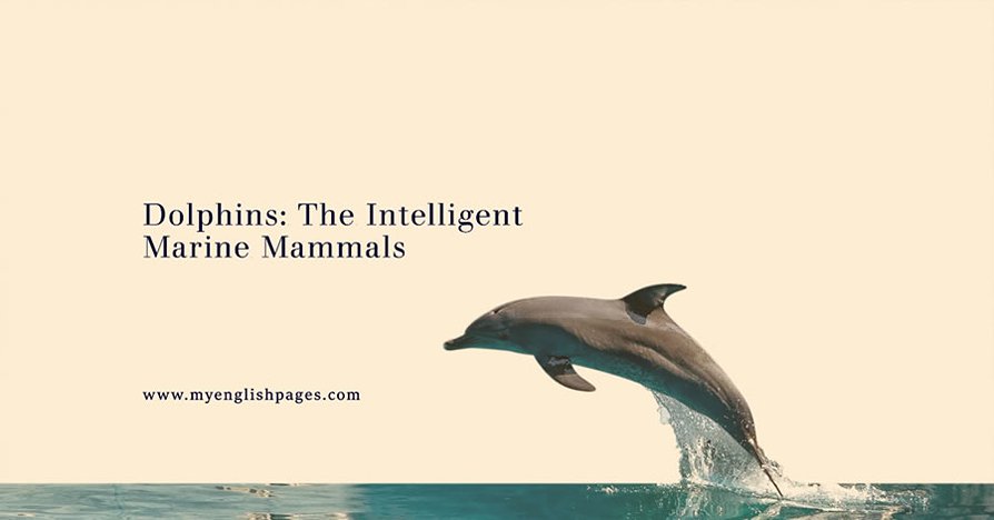 Dolphins: The Intelligent Marine Mammals