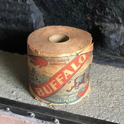 first toilet paper 1880