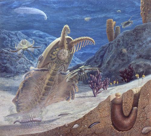 The Paleozoic Era was the first Era of the Phanerozoic Eon. It began ...