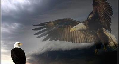 Bald eagle protection act of 1940- this act prohibits anyone without a ...
