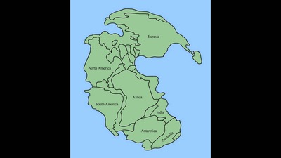 Then Pangea is created and dinosaurs live on it.