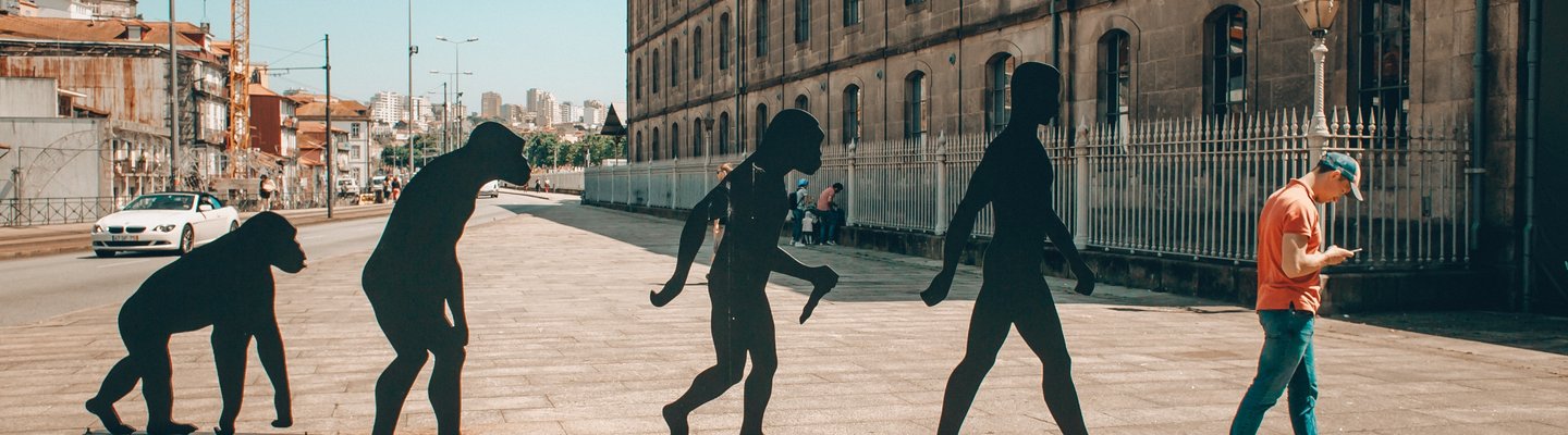 To print the story please do so via the link in the story toolbar.