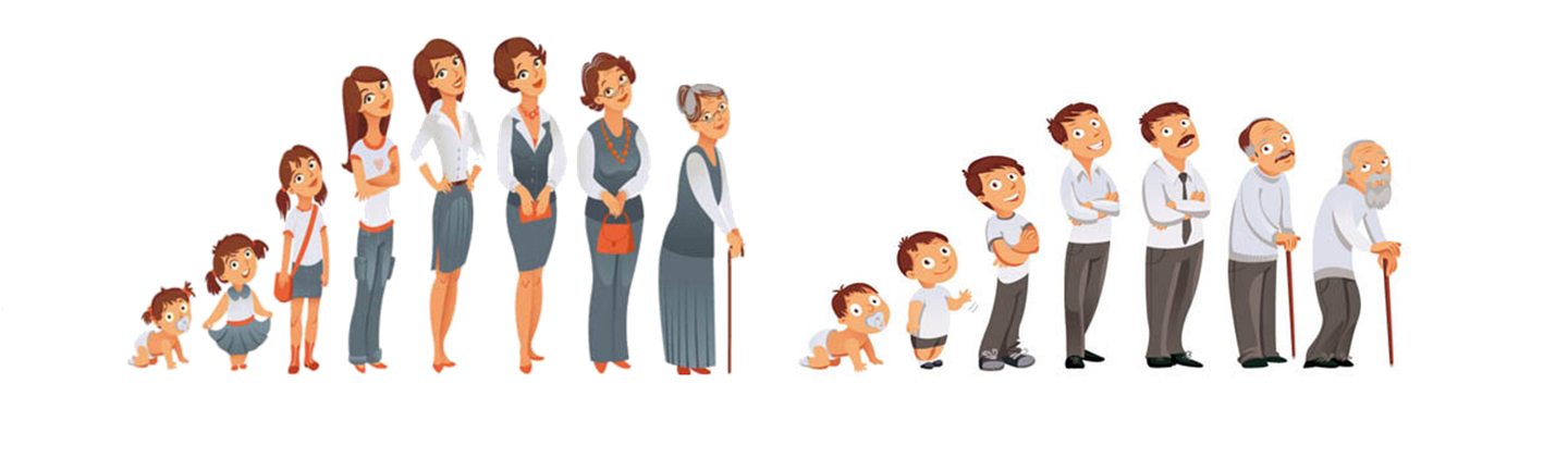 Ciclo De Vida Humano Ciclo De La Vida Del Ser Humano | Google Slides Y