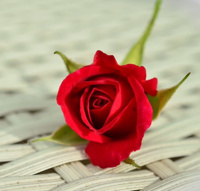 Share