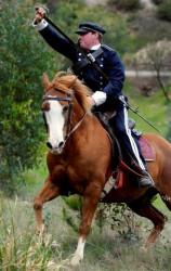 Twice weekly licence hunts