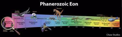 Look at the vast amount of life found in the Phanerozoic Eon. This is ...