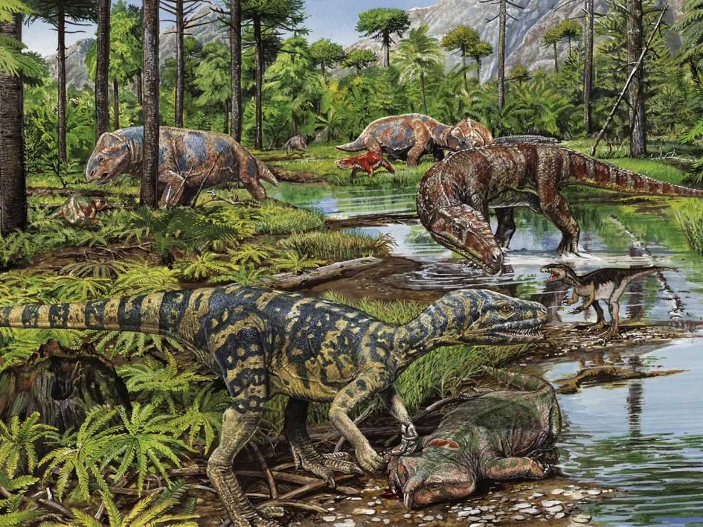 Phanerozoic Eon, Paleozoic Era, and Permian Period 299 MYA. biversity ...
