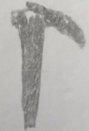Sumer ( 4000 BCE - 2000 BCE)